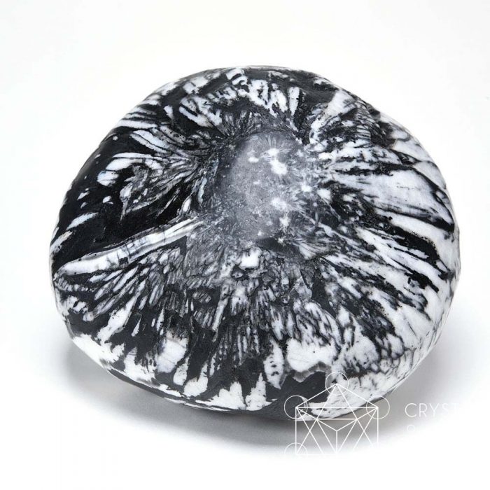 Chrysanthemum Stone Freeforms - Crystals of the World