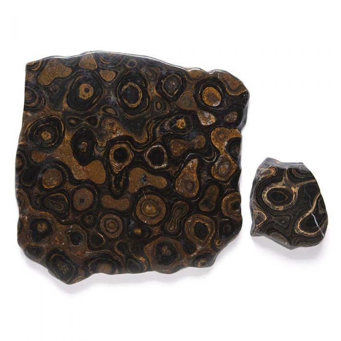Stromatolite Slabs - Crystals of the World